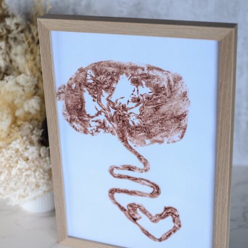 Placenta Encapsulation – Premium Package – The Placenta Co.