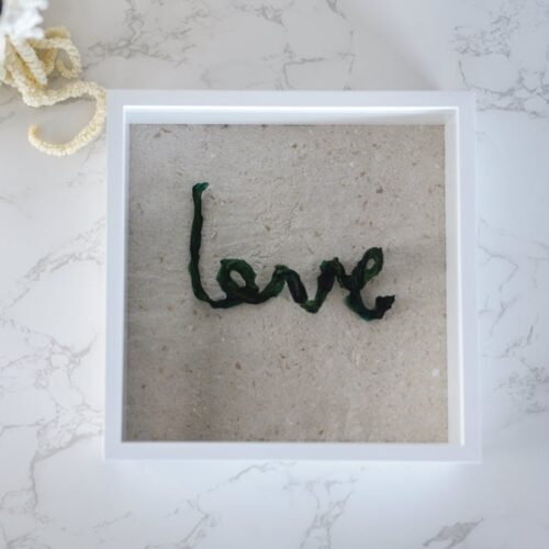 Placenta Encapsulation – Complete Package - The Placenta Co.